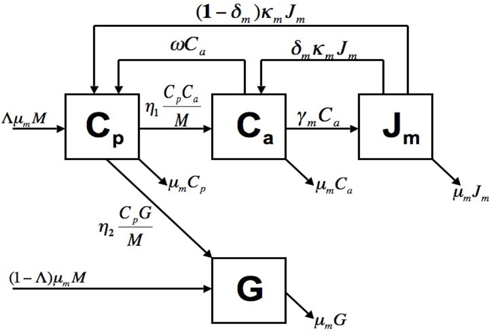 Figure 1 From Mathematical Modeling Of The Sex Worker Industry As A