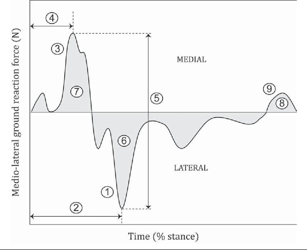 Table 1 From Effects Of Varying Amounts Of Pronation On The