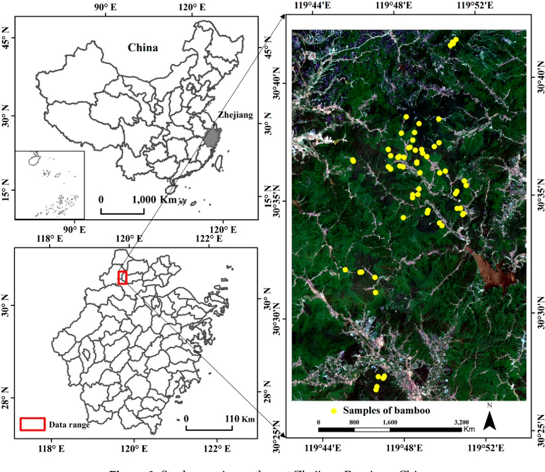 Figure 1 From Exploring Bamboo Forest Aboveground Biomass Estimation