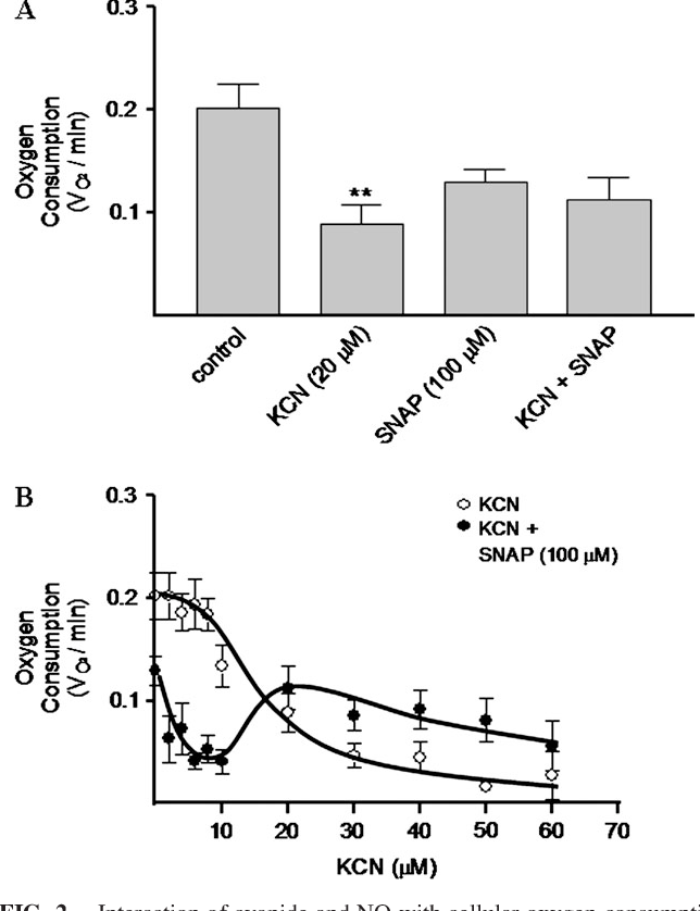 Figure 1 From Interaction Of Cyanide And Nitric Oxide With Cytochrome C