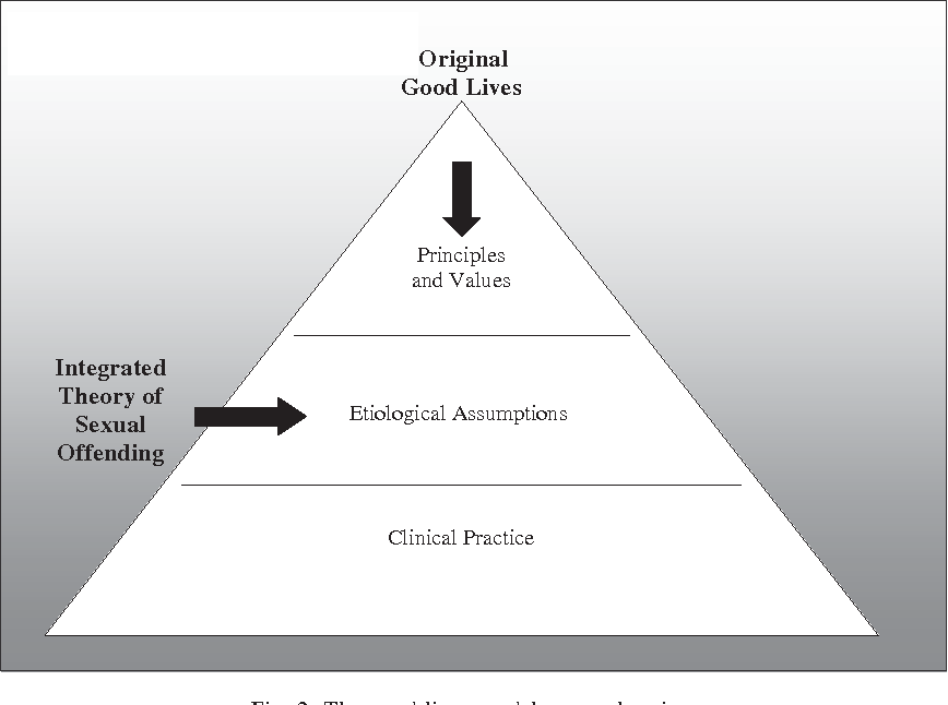 Pdf Rehabilitation Etiology And Self Regulation The Comprehensive