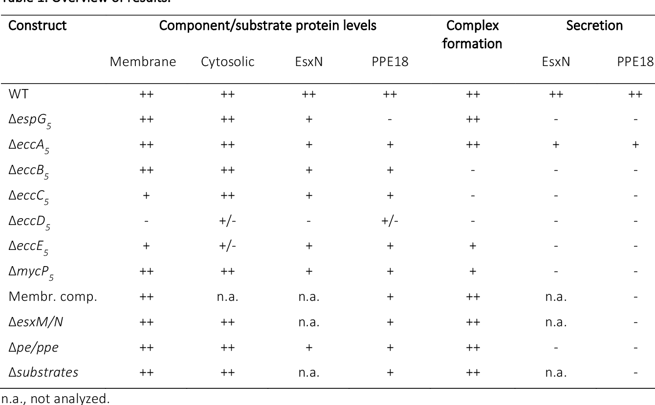 Reconstitution Of A Minimal Esx 5 Type Vii Secretion Systems Uncovers