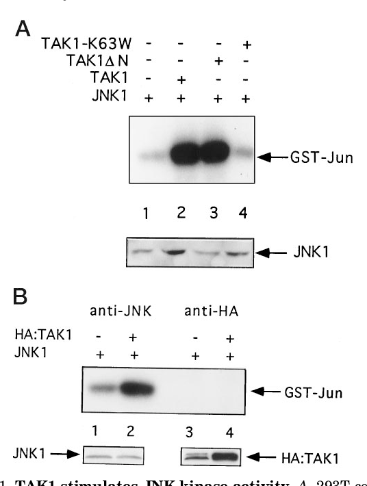 Figure 1 From Activation Of The Hematopoietic Progenitor Kinase 1 Hpk1