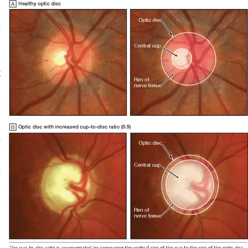 Figure 2 From Do Findings On Routine Examination Identify Patients At