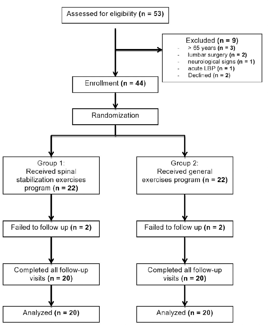 Figure 1 From Effectiveness Of Spinal Stabilization Exercises On