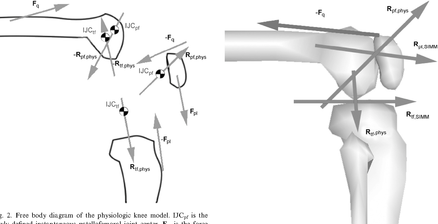 Pdf A Method Of Calculating Physiologically Relevant Joint Reaction