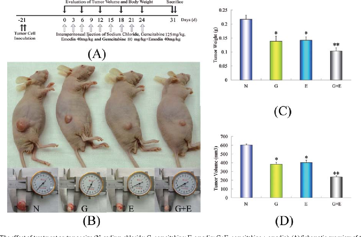 Figure 1 From Emodin Potentiates The Antitumor Effects Of Gemcitabine