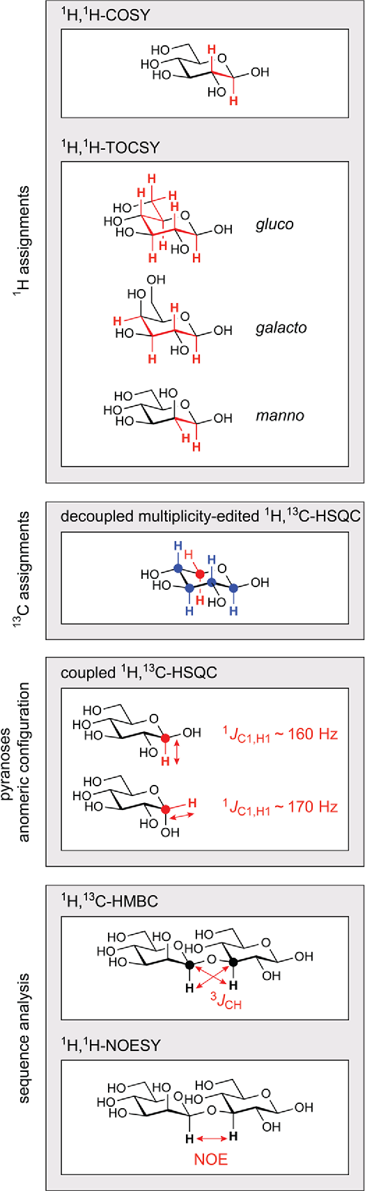 Primary Structure Of Glycans By Nmr Spectroscopy Semantic Scholar