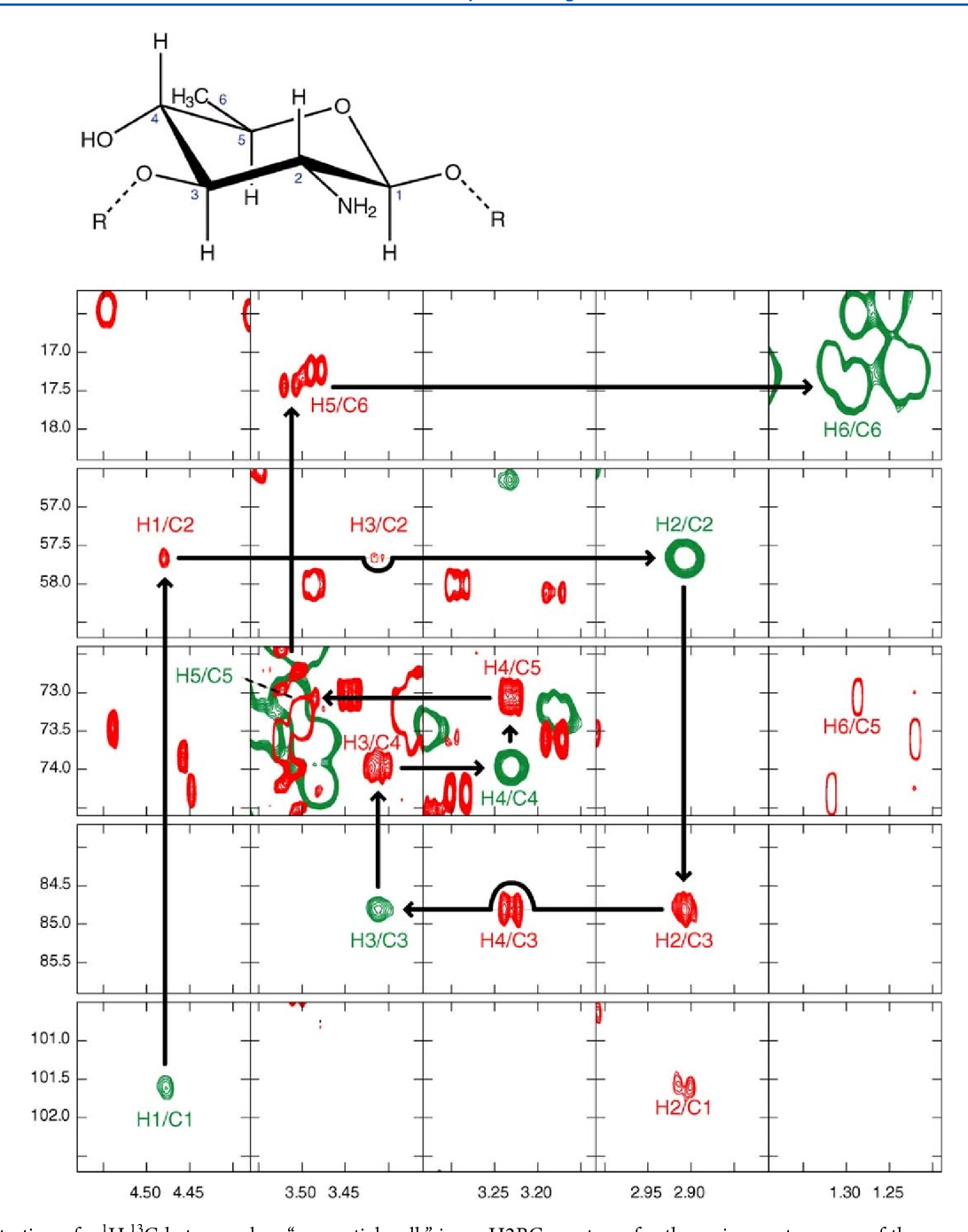 Figure 1 From Primary Structure Of Glycans By Nmr Spectroscopy