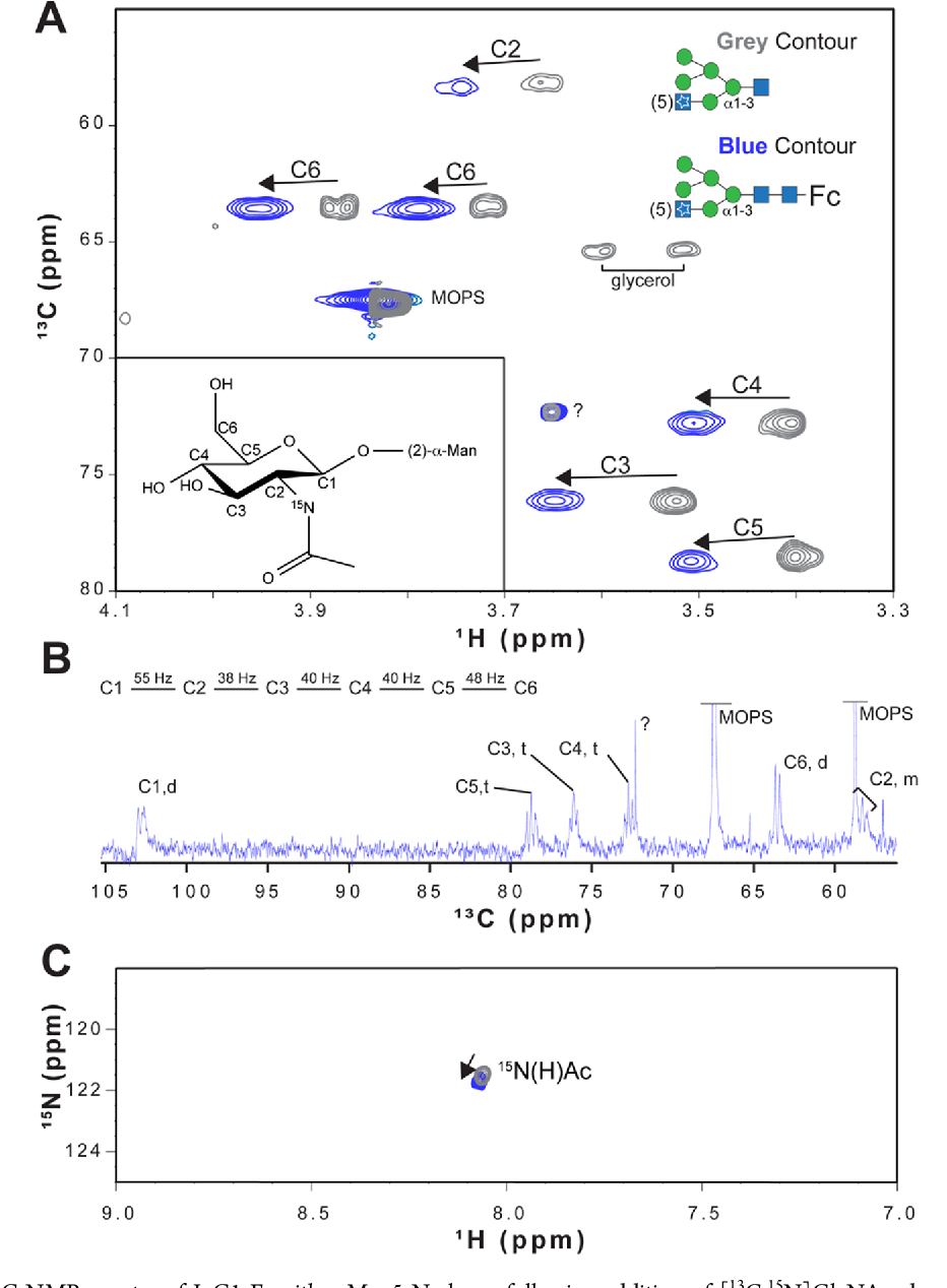 Figure 3 From Primary Structure Of Glycans By Nmr Spectroscopy