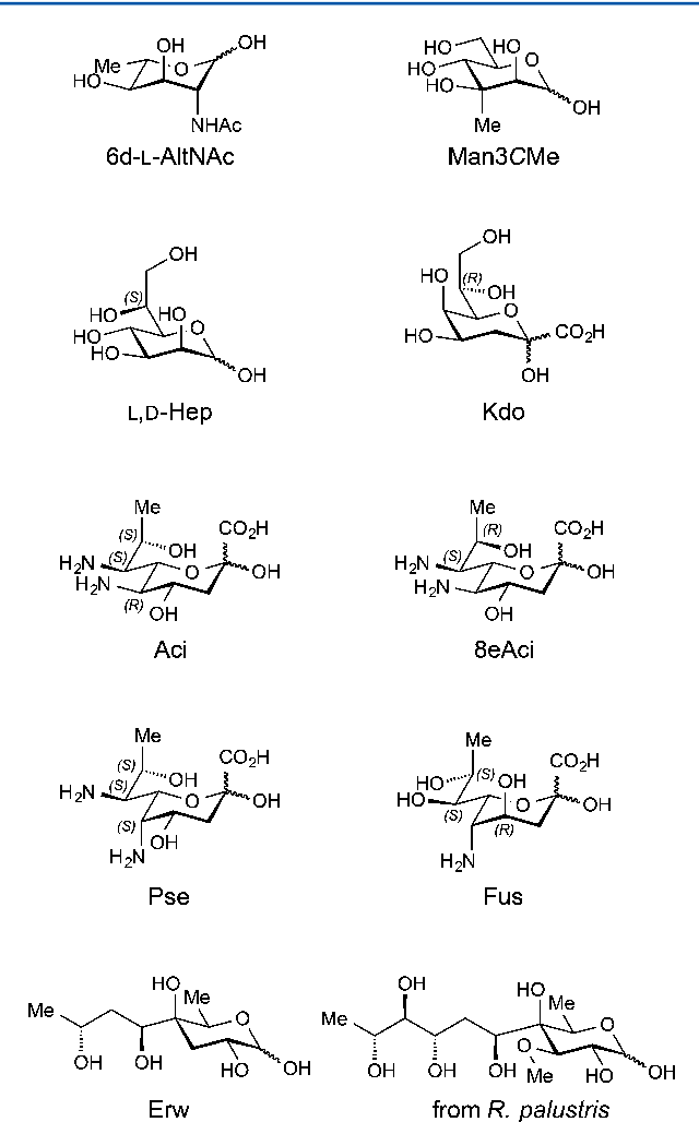 Figure 1 From Primary Structure Of Glycans By Nmr Spectroscopy