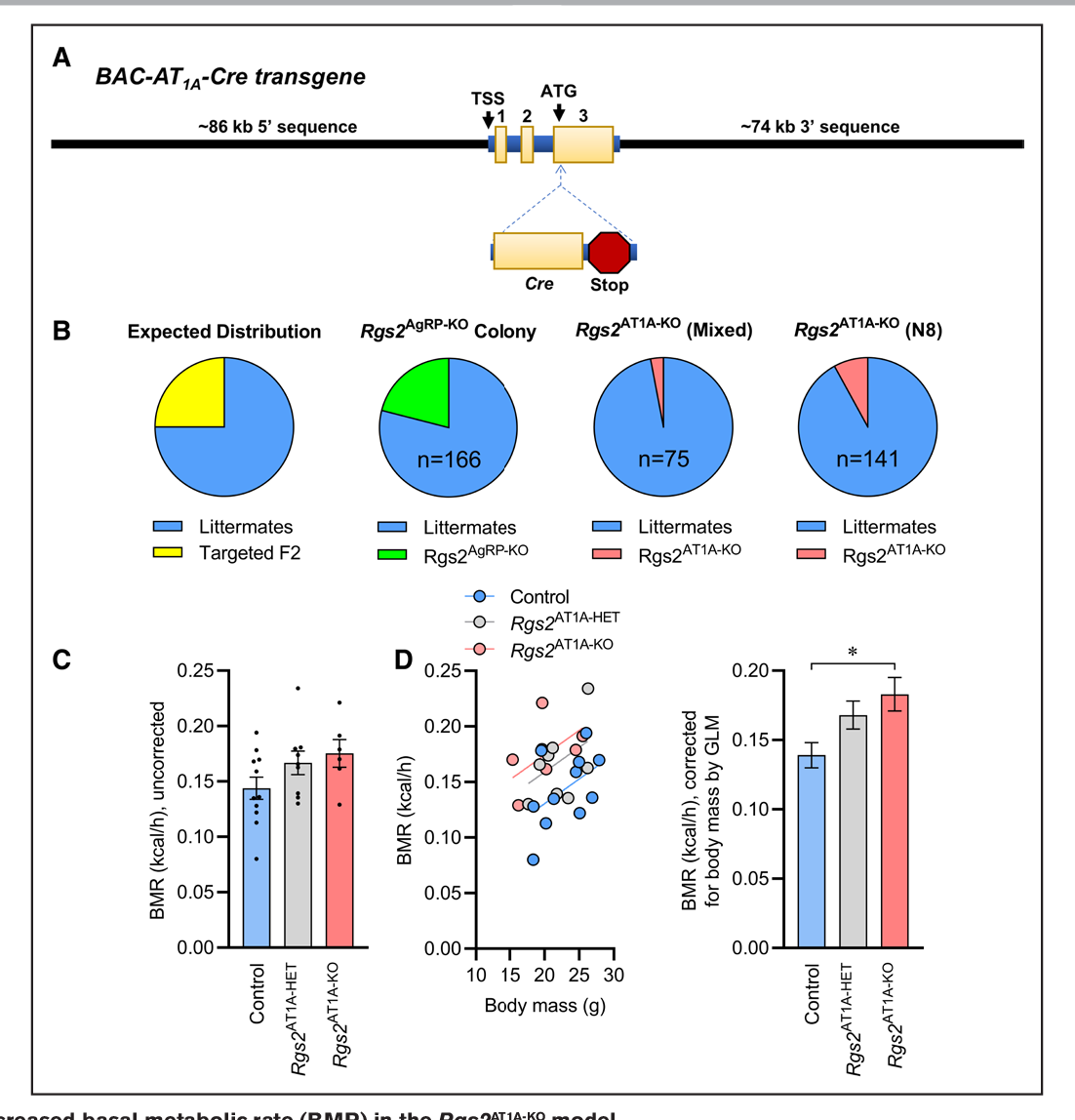 Figure 1 From Cardiometabolic Consequences Of Deleting The Regulator Of