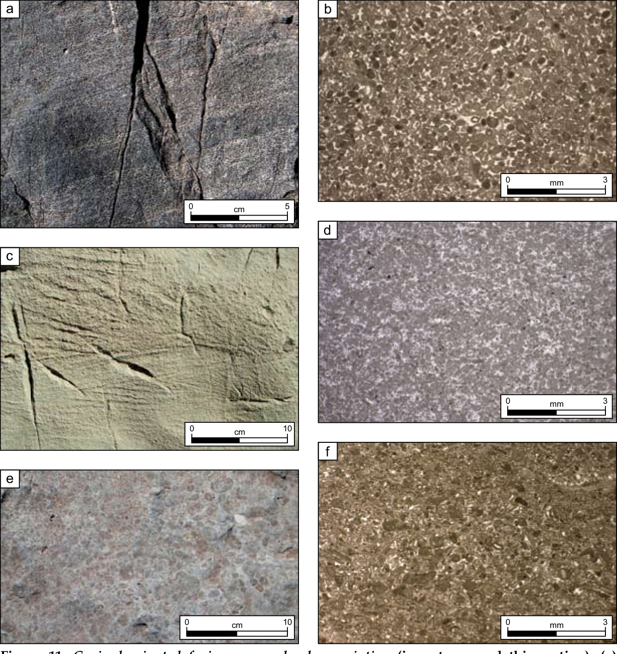 Figure 1 From Facies And Stratigraphic Framework Of A Khuff Outcrop