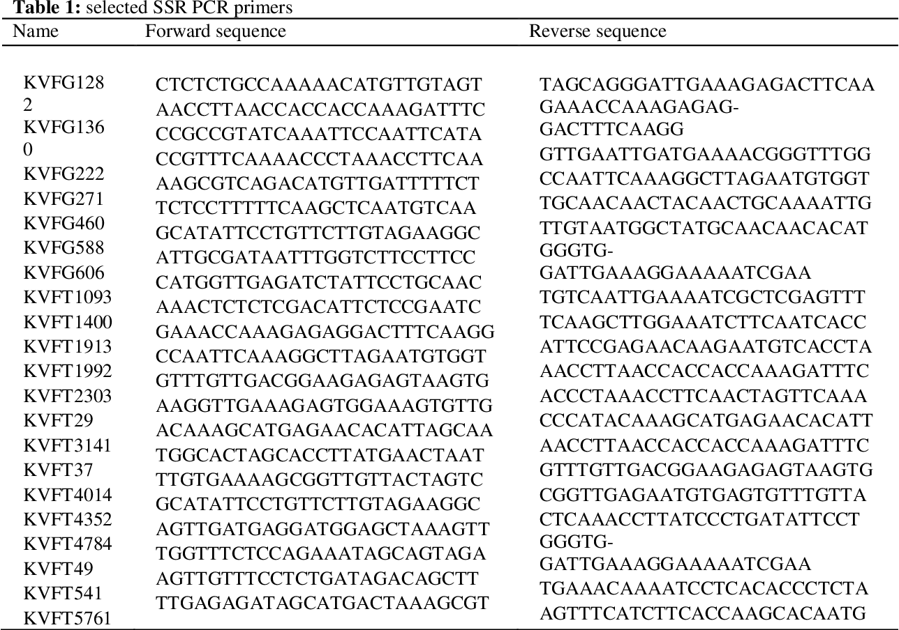 Pdf Genetic Diversity On Vicia Faba By Using Ssrs Semantic Scholar