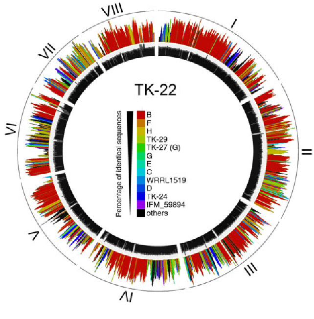 Figure 2 From Evolution Of Aspergillus Oryzae Before And After