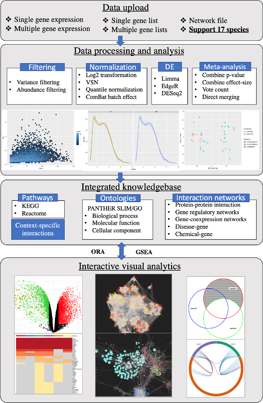 Figure 1 From Networkanalyst 30 A Visual Analytics Platform For