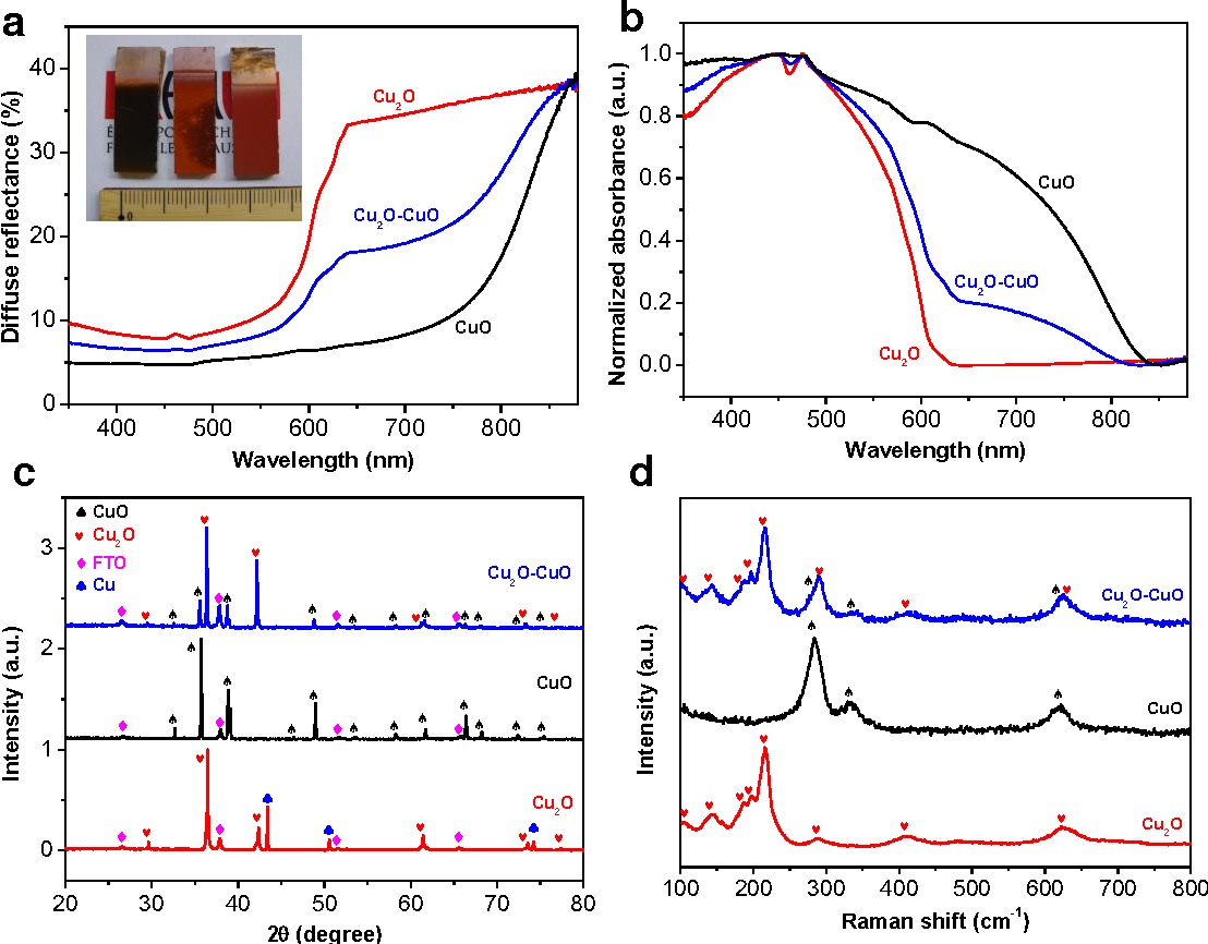 Cu2o Nanowire Photocathodes For Efficient And Durable Solar Water