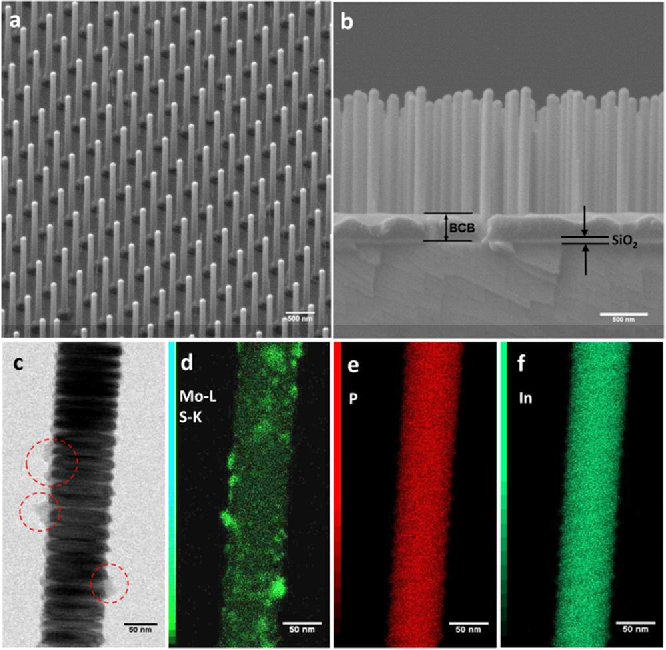 Figure 1 From Photoelectrochemical Hydrogen Production On Inp Nanowire