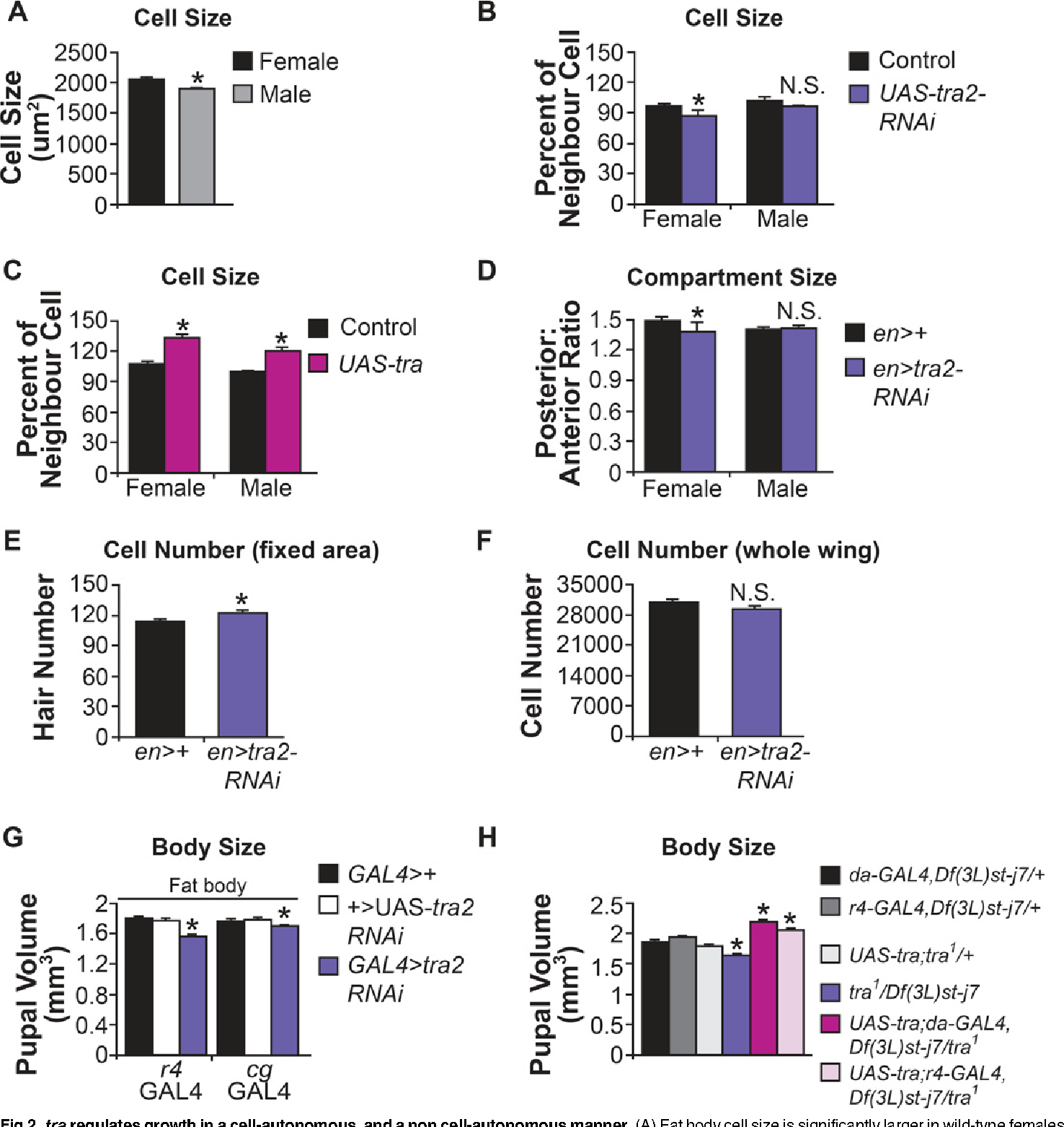 Figure 1 From The Sex Determination Gene Transformer Regulates Male