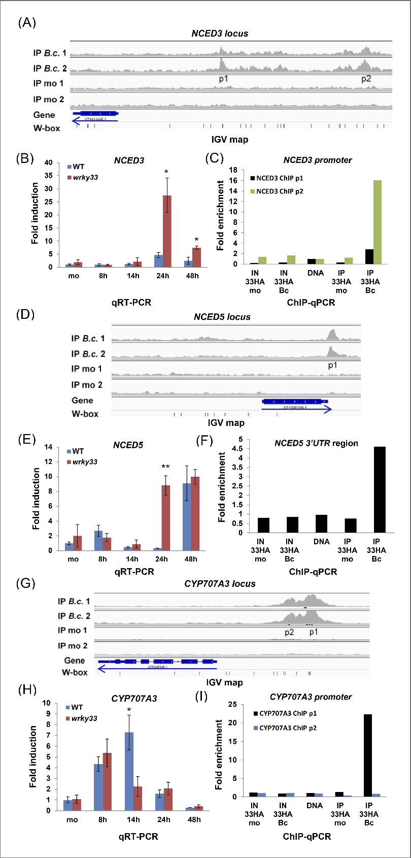 Figure 1 From Negative Regulation Of Aba Signaling By Wrky33 Is