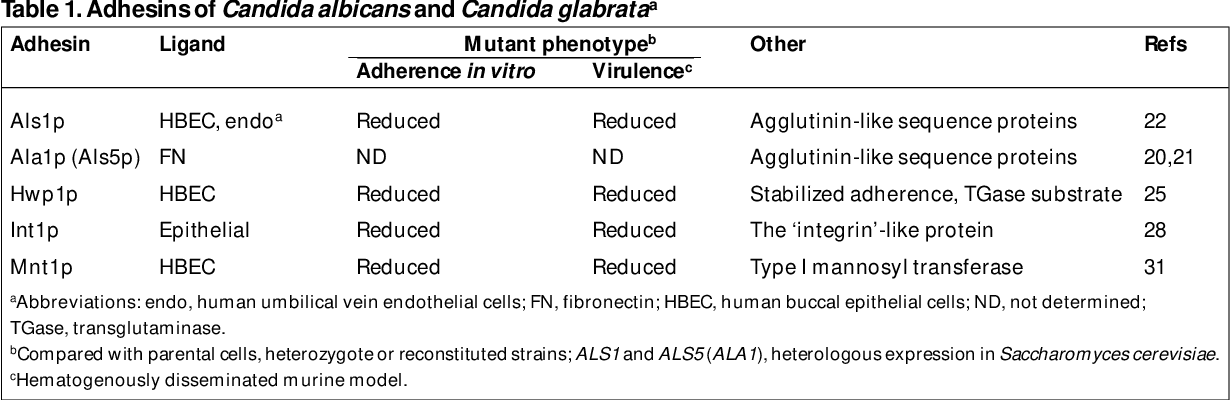 Pdf Virulence Factors Of Candida Albicans Semantic Scholar