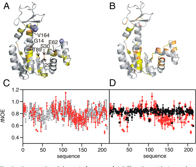 Figure 1 From Structural Basis For Ligand Binding To An Enzyme By A