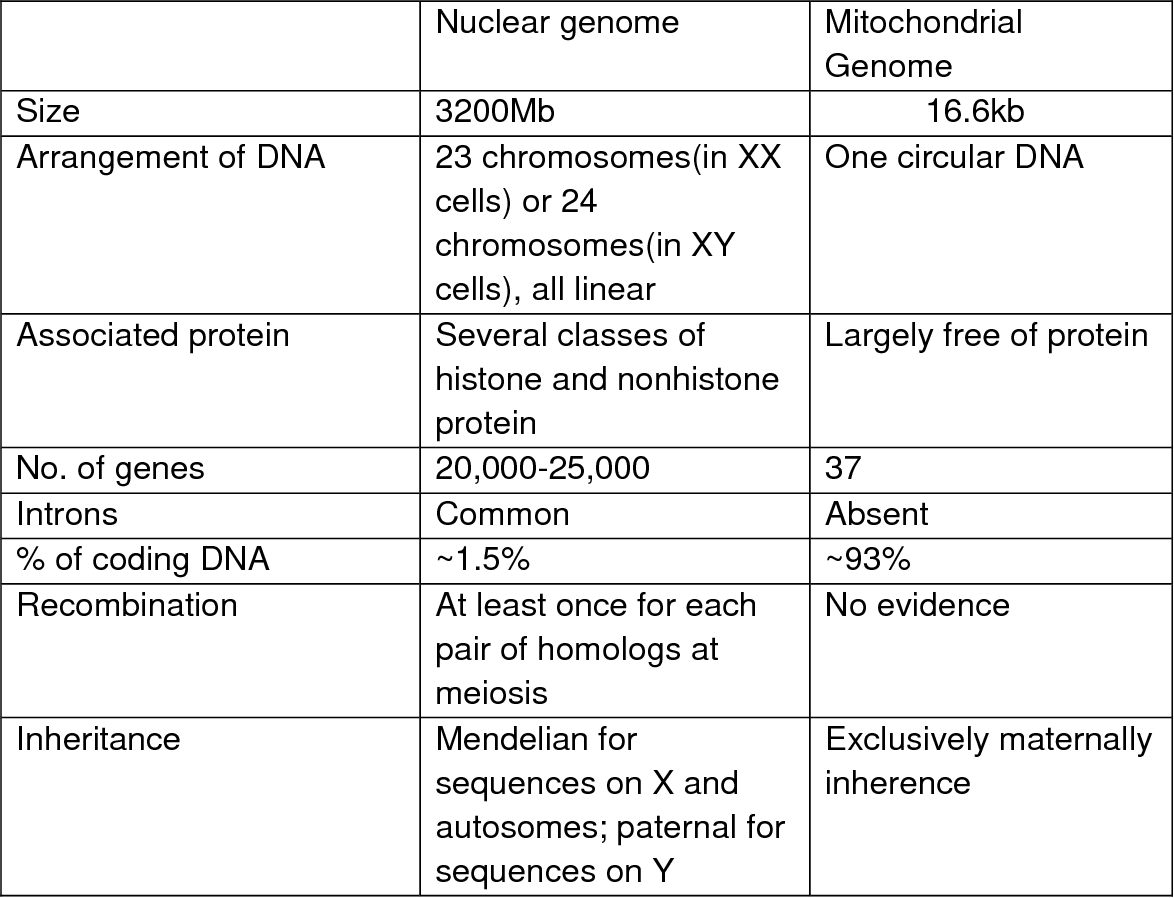 Mitochondrial Dna Vs Nuclear Dna