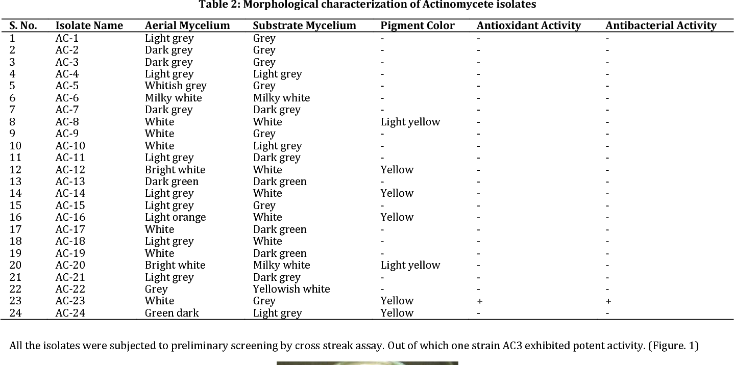 Table 1 From Screening Of Actinomycetes Isolated From Soil Samples For