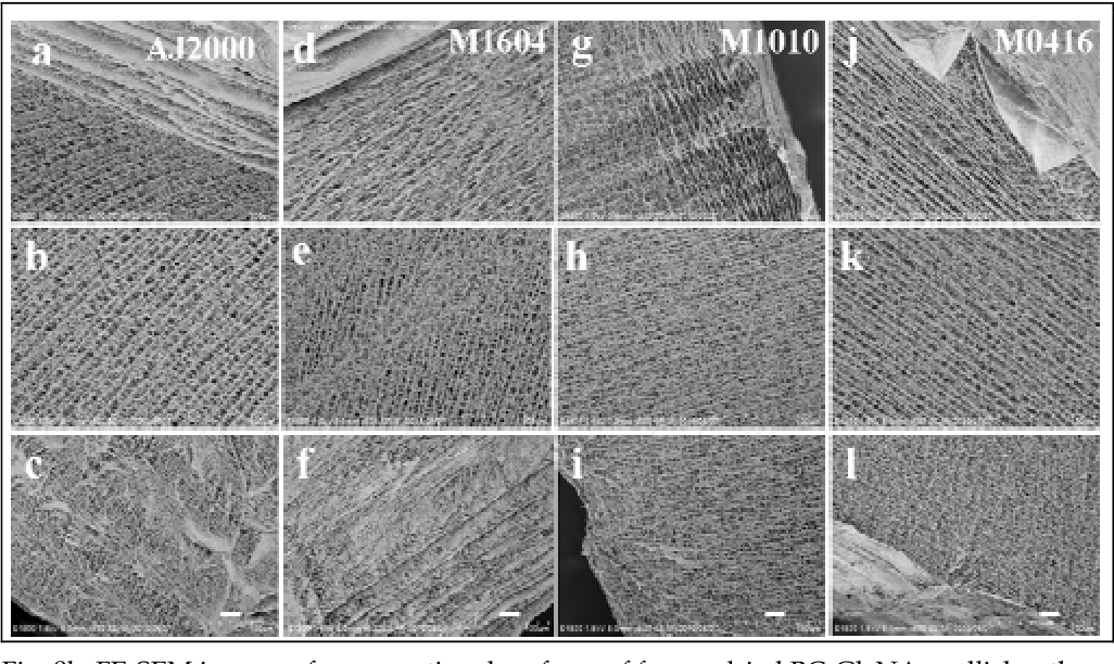 Figure 1 From Bacterial Cellulose Based Biomimetic Composites