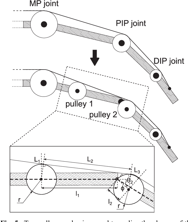 Development Of A Tendon Driven Robotic Finger For An Anthropomorphic