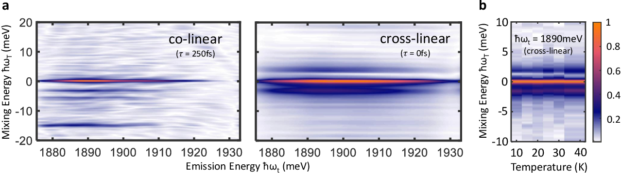 Figure 1 From Polarization Selective Excitation Of Triplet State