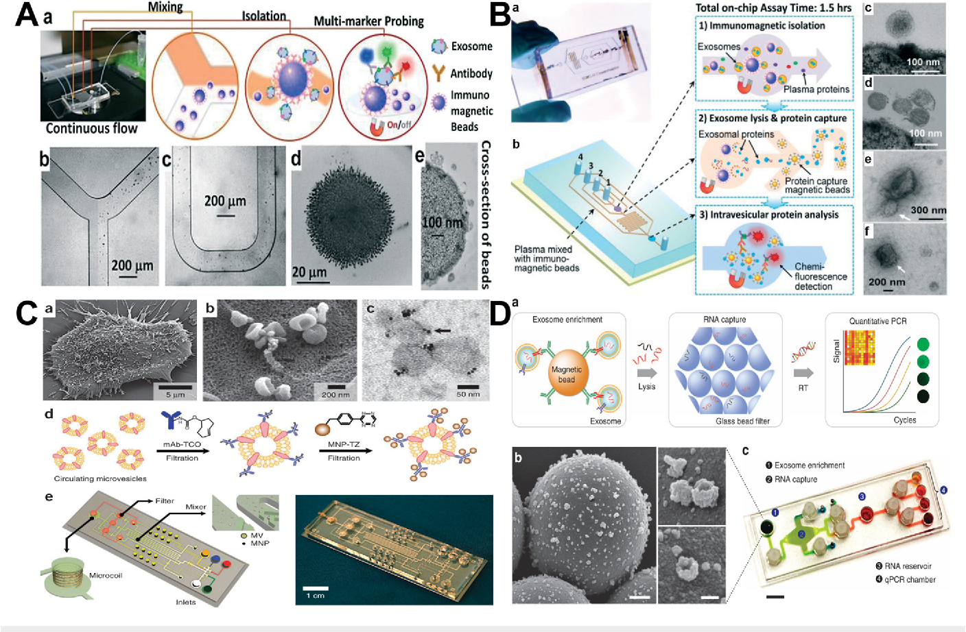 Figure 1 From Magnetic Nanotechnology For Circulating Tumor Biomarkers