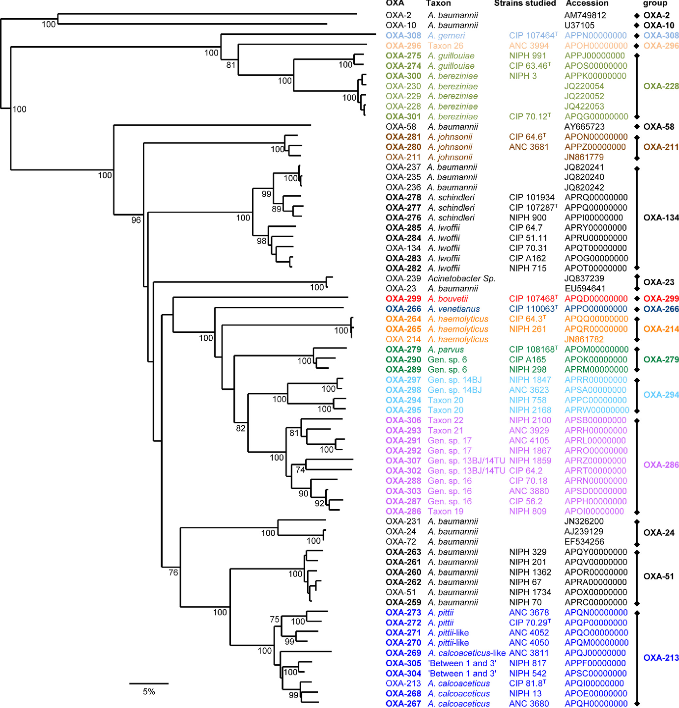 Acinetobacter Parvus Semantic Scholar