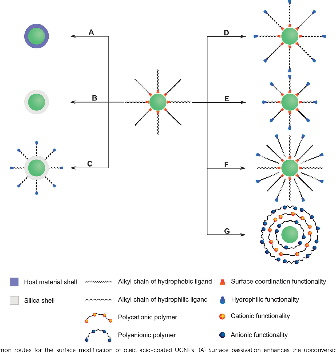 Figure 1 From Surface Modification And Characterization Of Photon