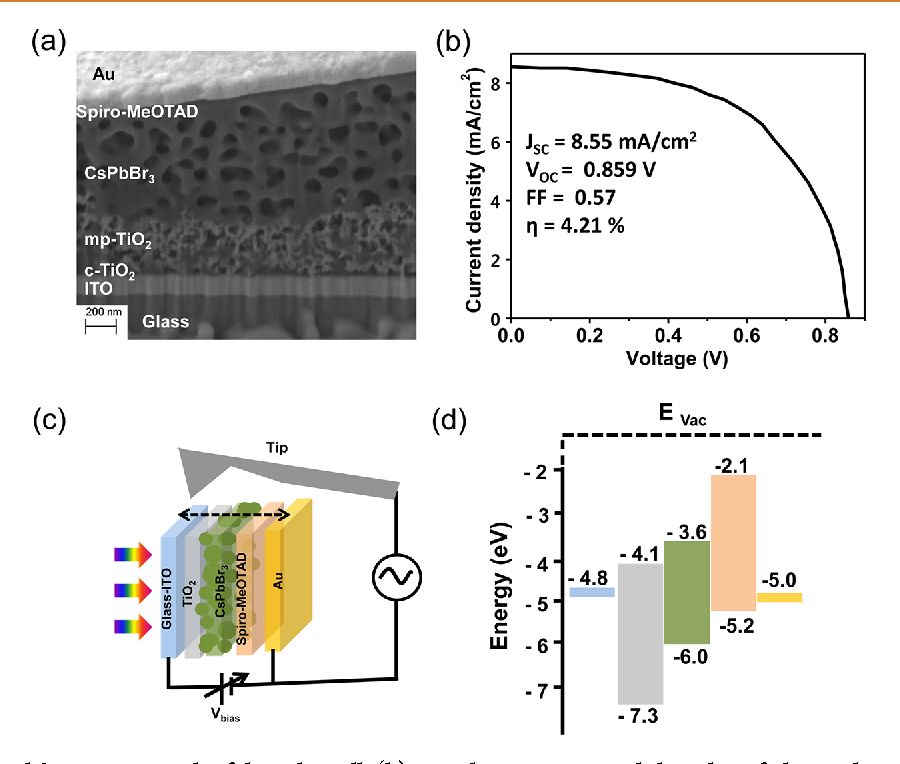 Figure 1 From Imaging The Anomalous Charge Distribution Inside Cspbbr3