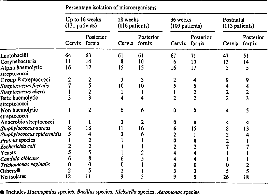 Table 2 From Genital Flora During Pregnancy And Colonization Of The