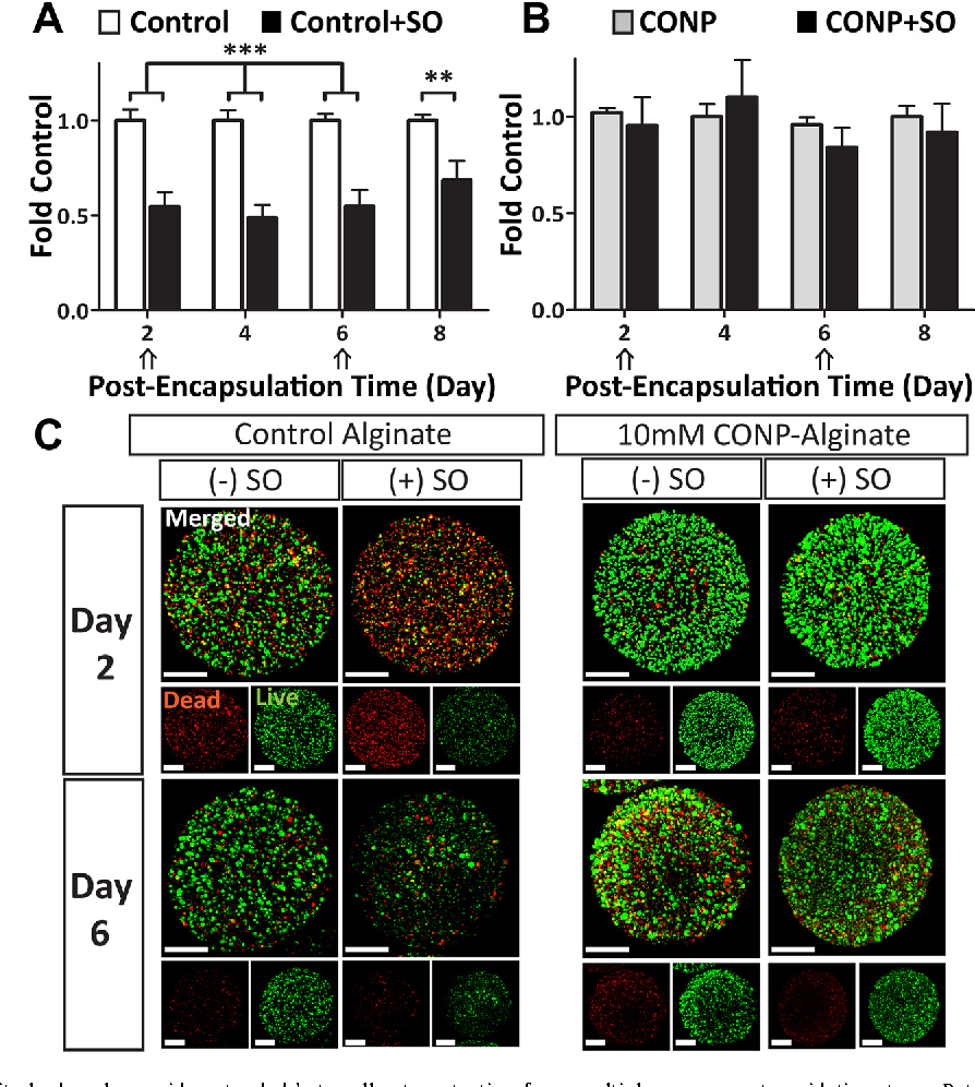 Figure 5 From Antioxidant Cerium Oxide Nanoparticle Hydrogels For