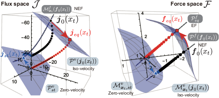 Figure 1 From Geometry Of Nonequilibrium Chemical Reaction Networks And