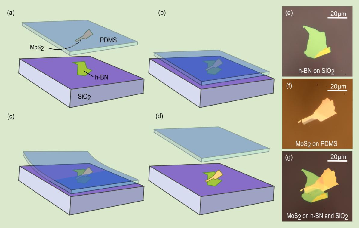 Pdf Single Layer Mos2 Roughness And Sliding Friction Quenching By