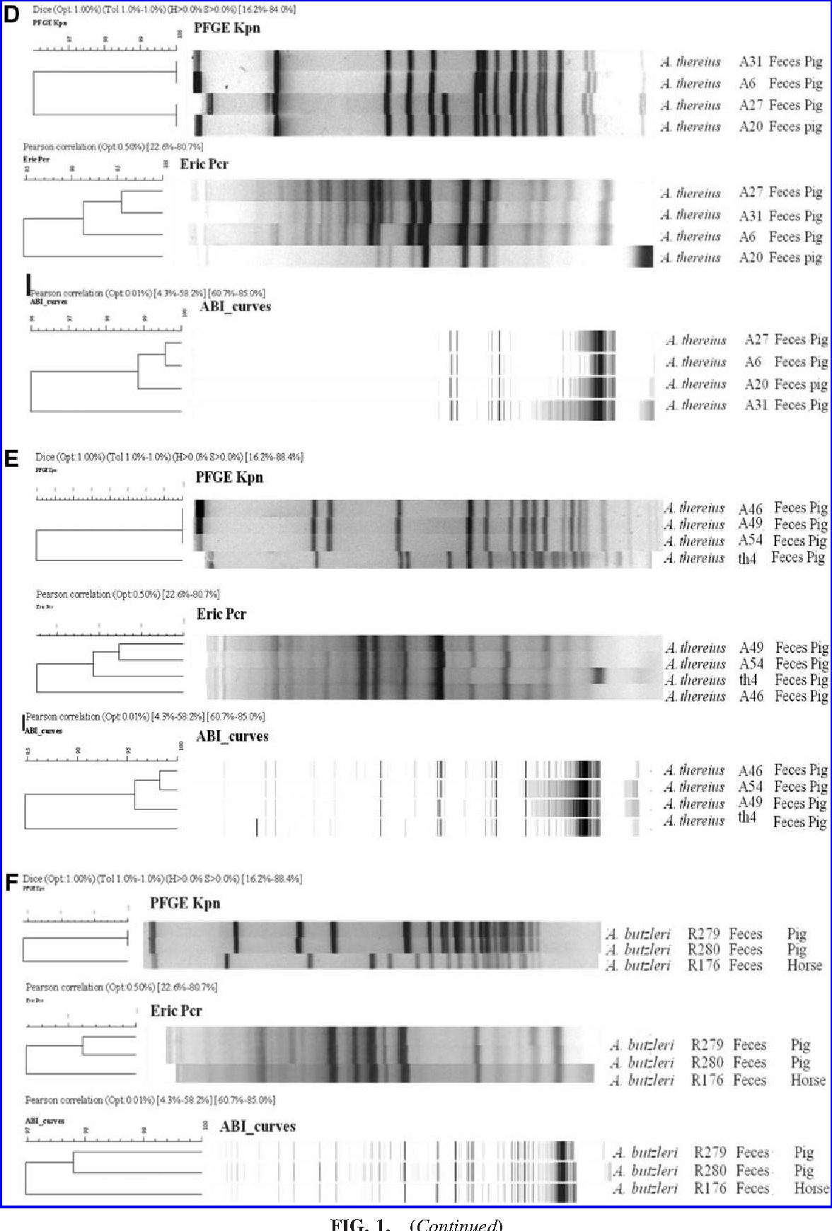 Pdf Towards A Typing Strategy For Arcobacter Species Isolated From