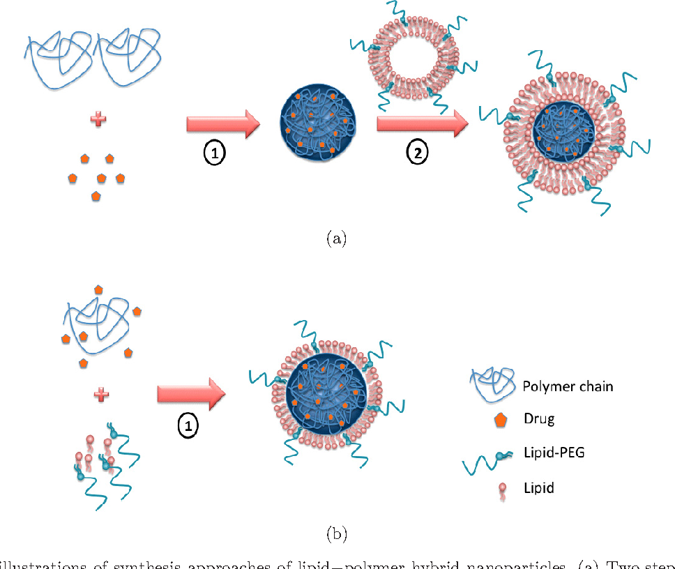 Pdf Lipidpolymer Hybrid Nanoparticles Synthesis Characterization