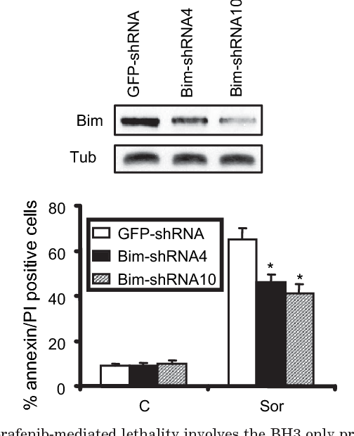 Pdf The Multikinase Inhibitor Sorafenib Induces Apoptosis In Highly