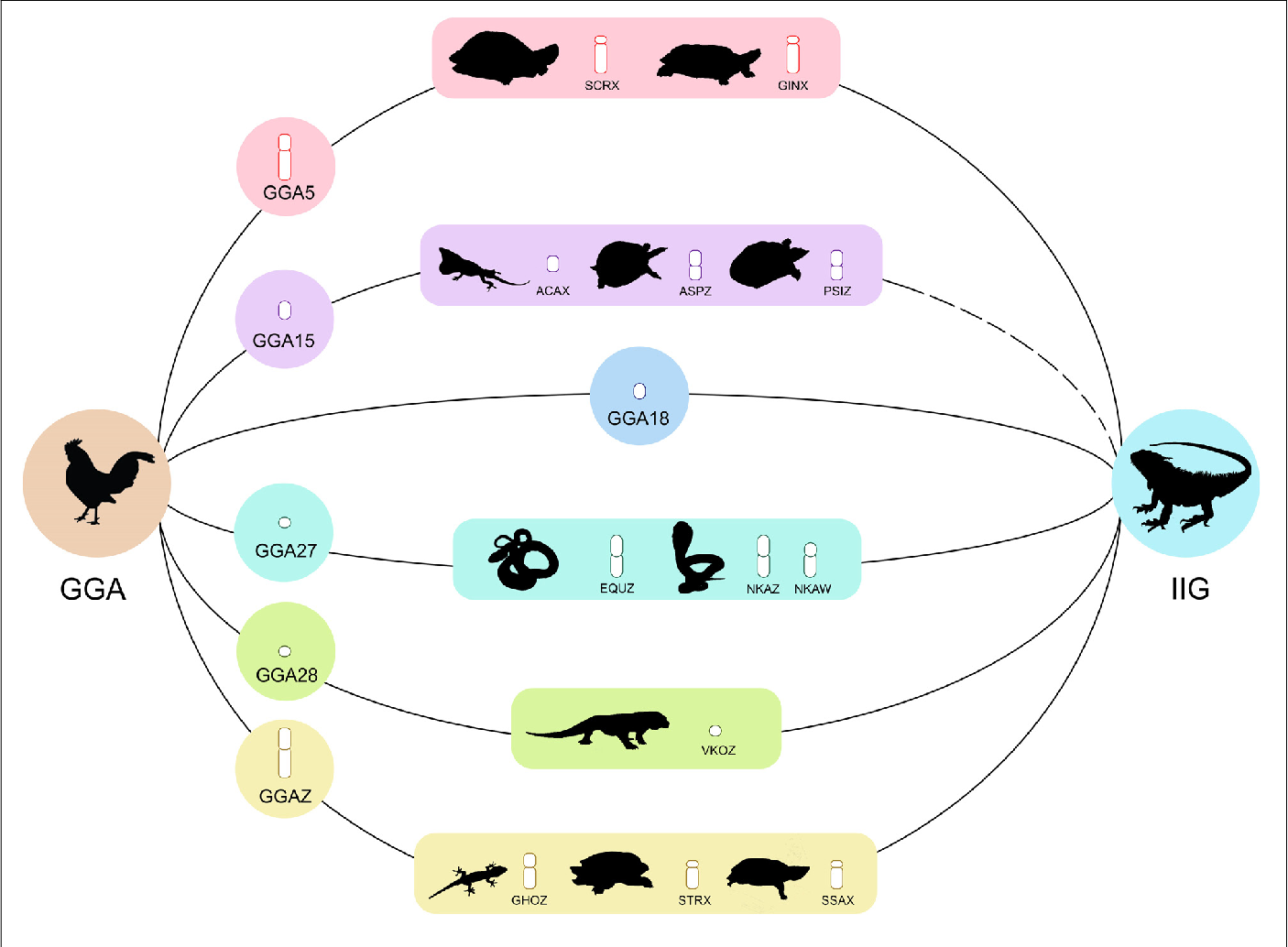 Figure 1 From Genome Complexity Reduction High Throughput Genome