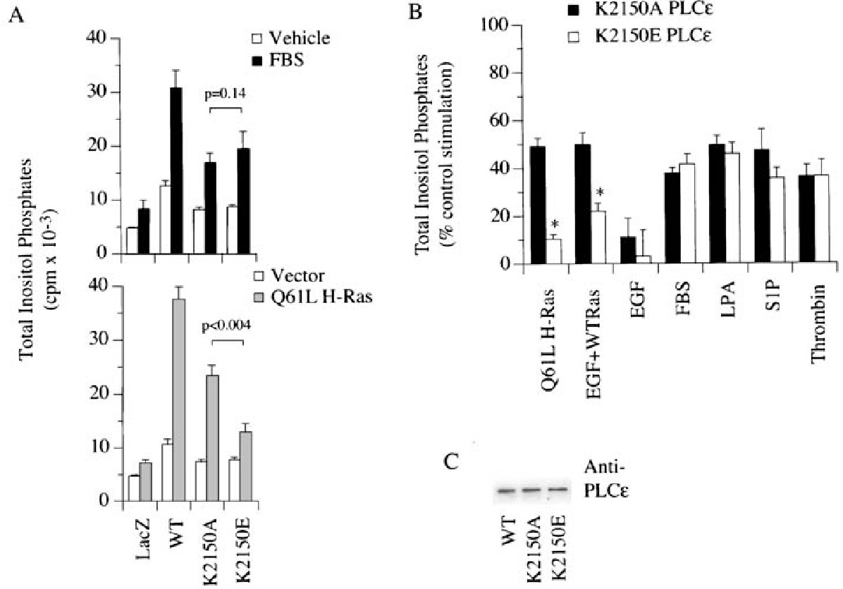 Figure 1 From Hormonal Regulation Of Phospholipase Cepsilon Through