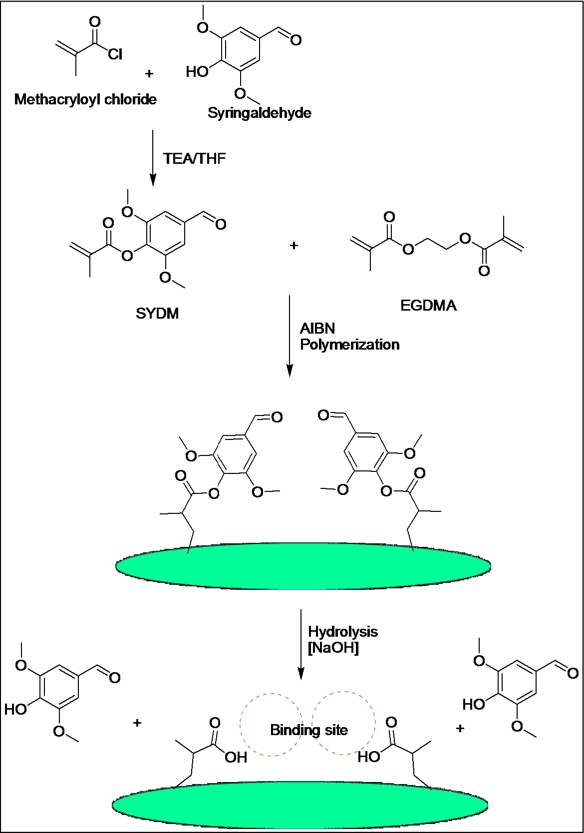 Figure 21 From Synthesis And Characterization Of Molecular Imprinting