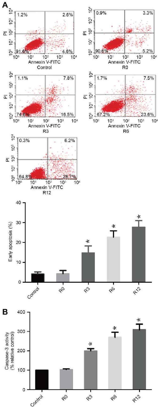 Pdf P38 Mapk Mk2 Pathway Regulates The Heat Stress Induced