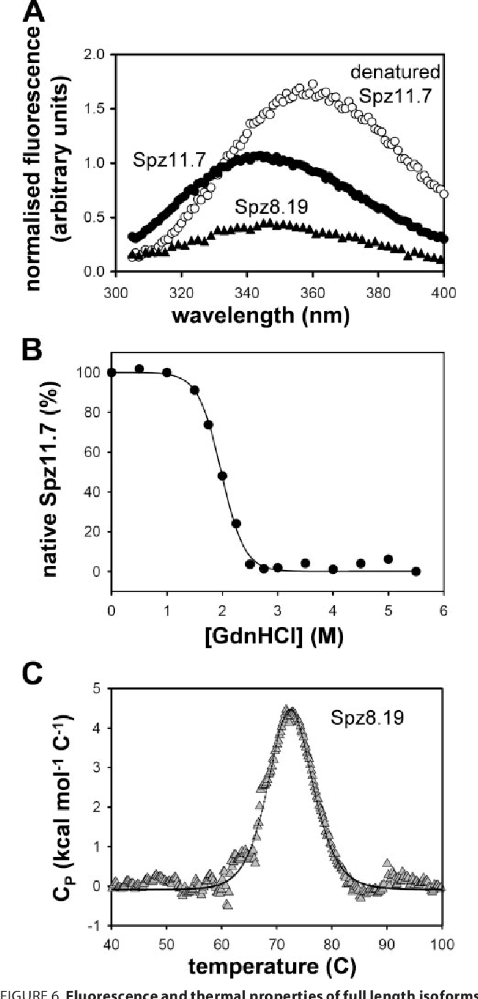 Figure 1 From Biophysical Characterization Of Refolded Drosophila