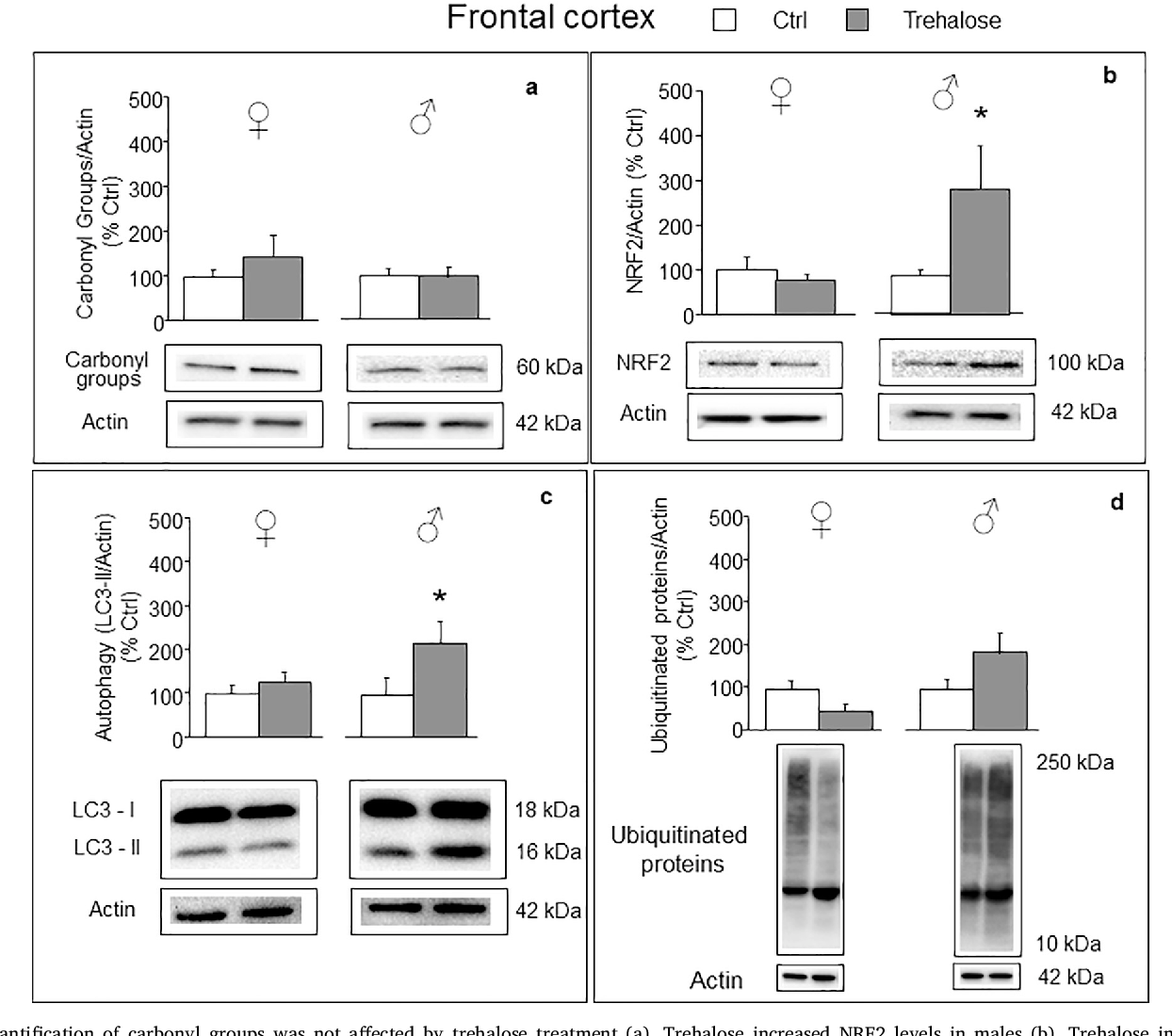 Pdf Trehalose Administration In C57bl6n Old Mice Affects Healthspan