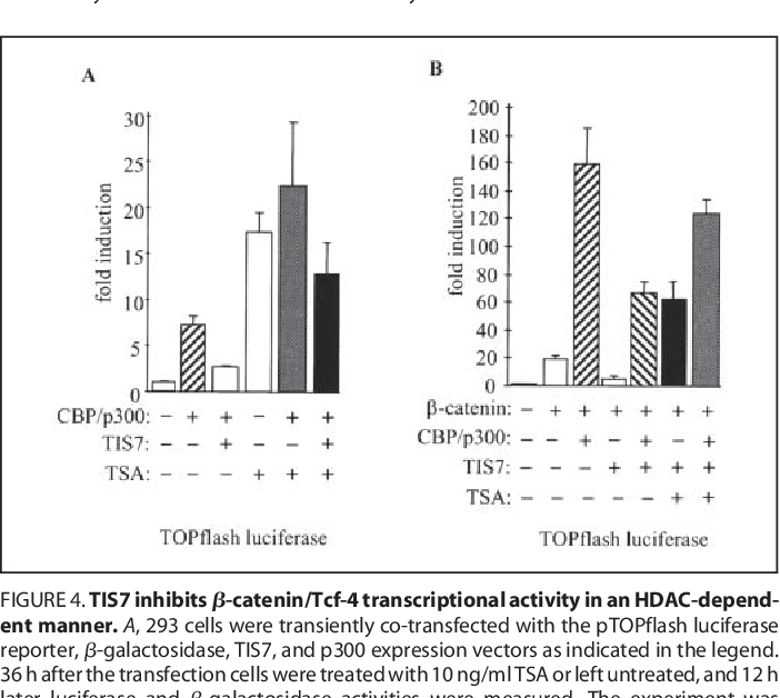 Tis7 Regulation Of The β Catenintcf 4 Target Gene Osteopontin Opn Is