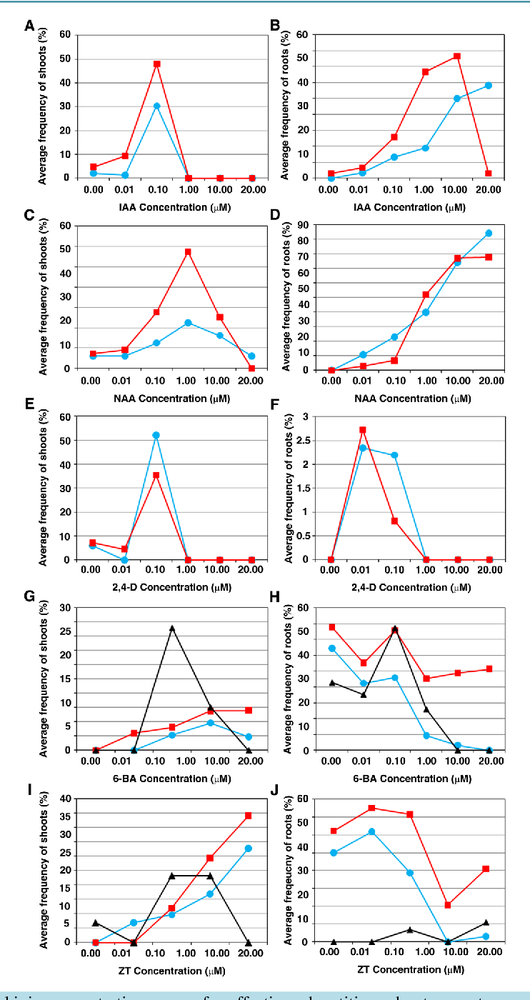 Figure 2 From Hormones Regulate In Vitro Organ Regeneration From Leaf